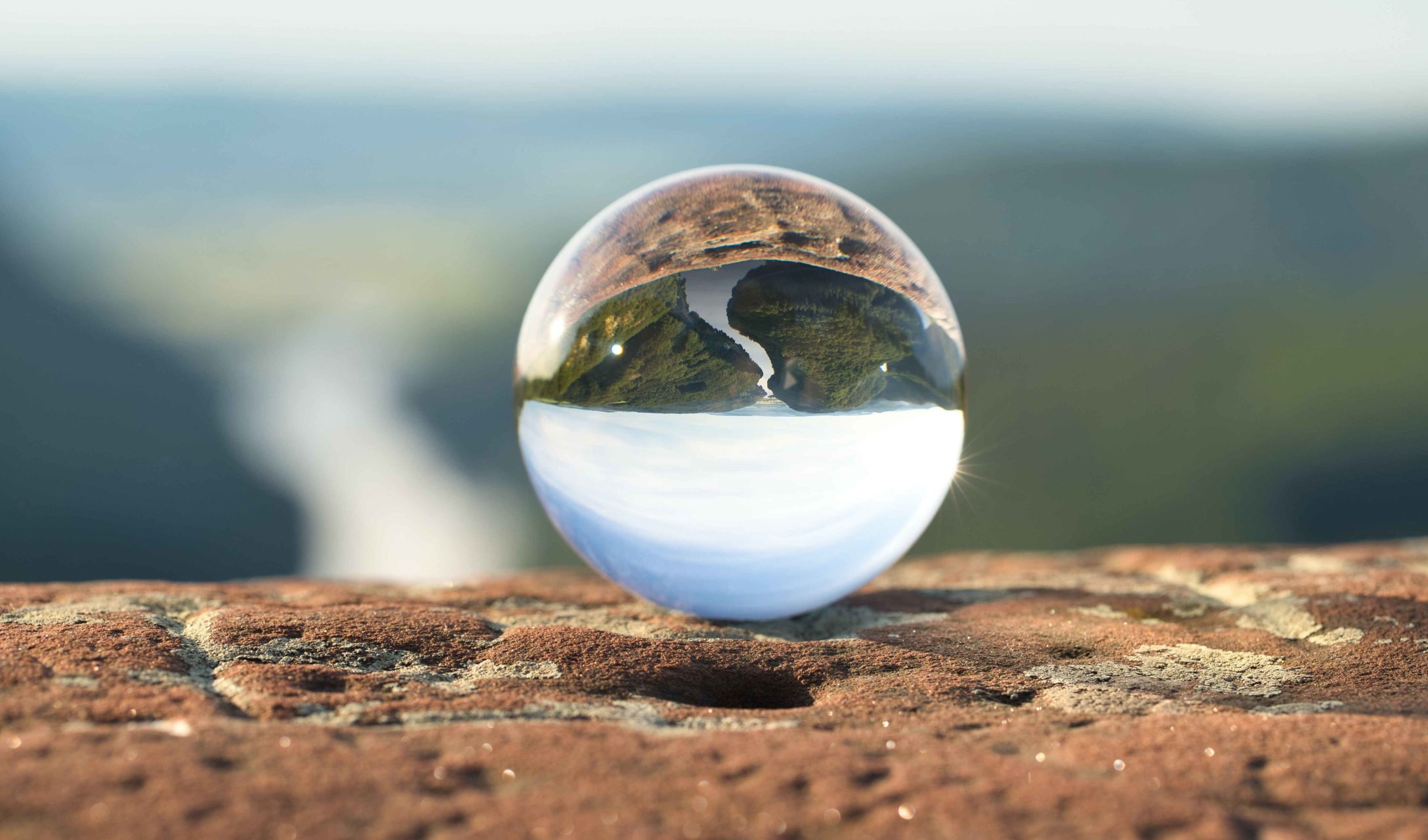 FULL PROGRAMME CONFIRMED! | International Conference on Mindfulness 2024